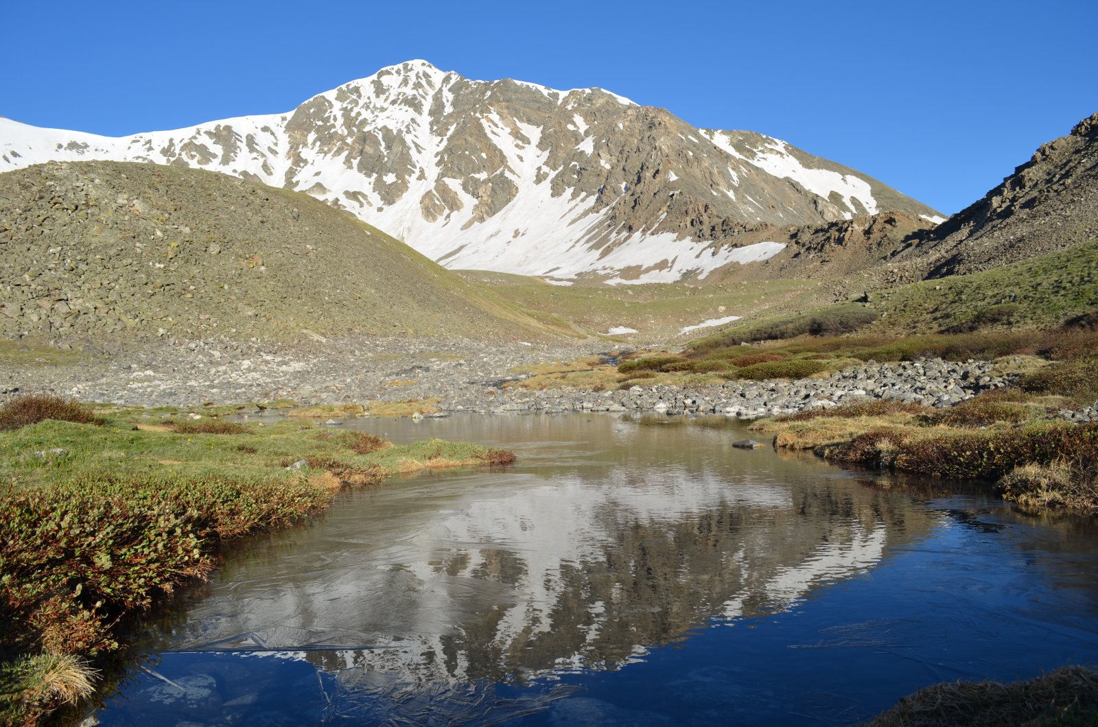 Dead Dog Couloir - Torreys Peak